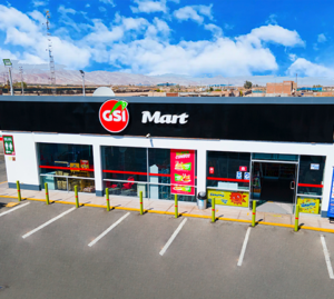 GSI | 62 años de experiencia en el sector de comercialización de ...